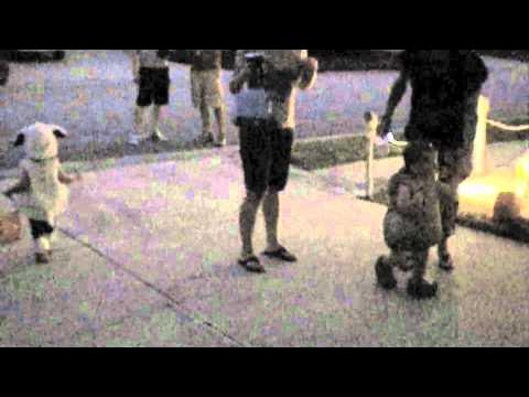 halloween.m4v - YouTube