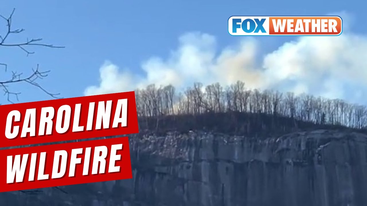 Wildfire Burns In South Carolina State Park - YouTube