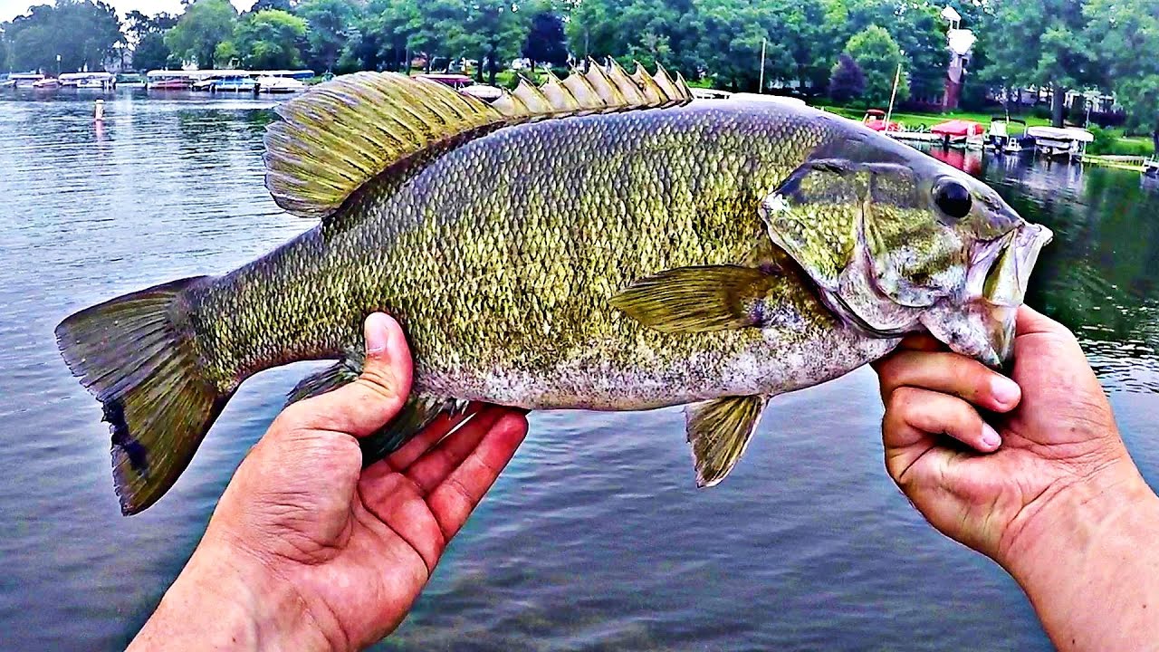 Always Check Your Fishing Line! Frayed Line!! - YouTube