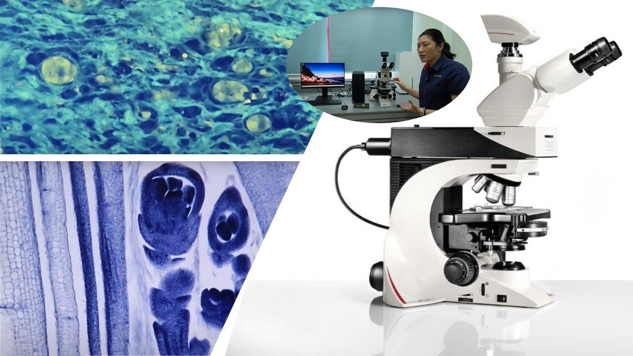 Leica DM2500 LED Optical Compound Microscope - YouTube
