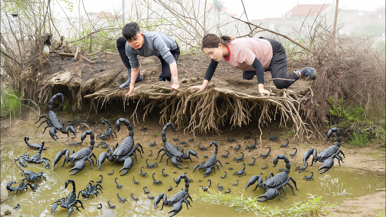Harvesting Giant Scorpions with Bare Hands & Selling at the Market ...