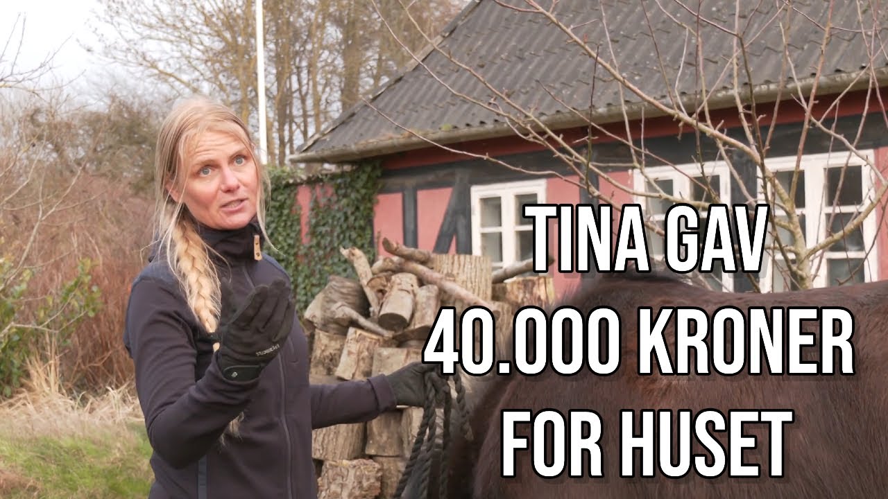 Tina købte Danmarks billigste hus - YouTube