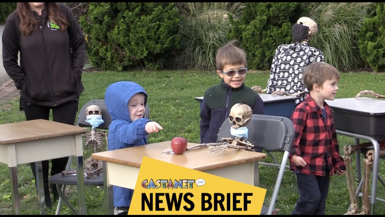 Spooky, not so scary skeletons - YouTube