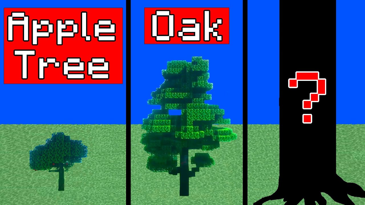 Minecraft Compares The Tallest Trees In The World - YouTube