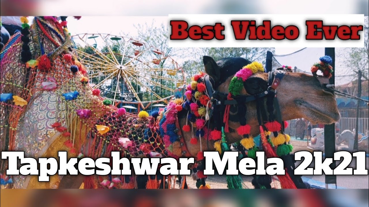 Tapkeshwar Mela 2k21 | Shivratri | First ever Mela like this | Aware ...
