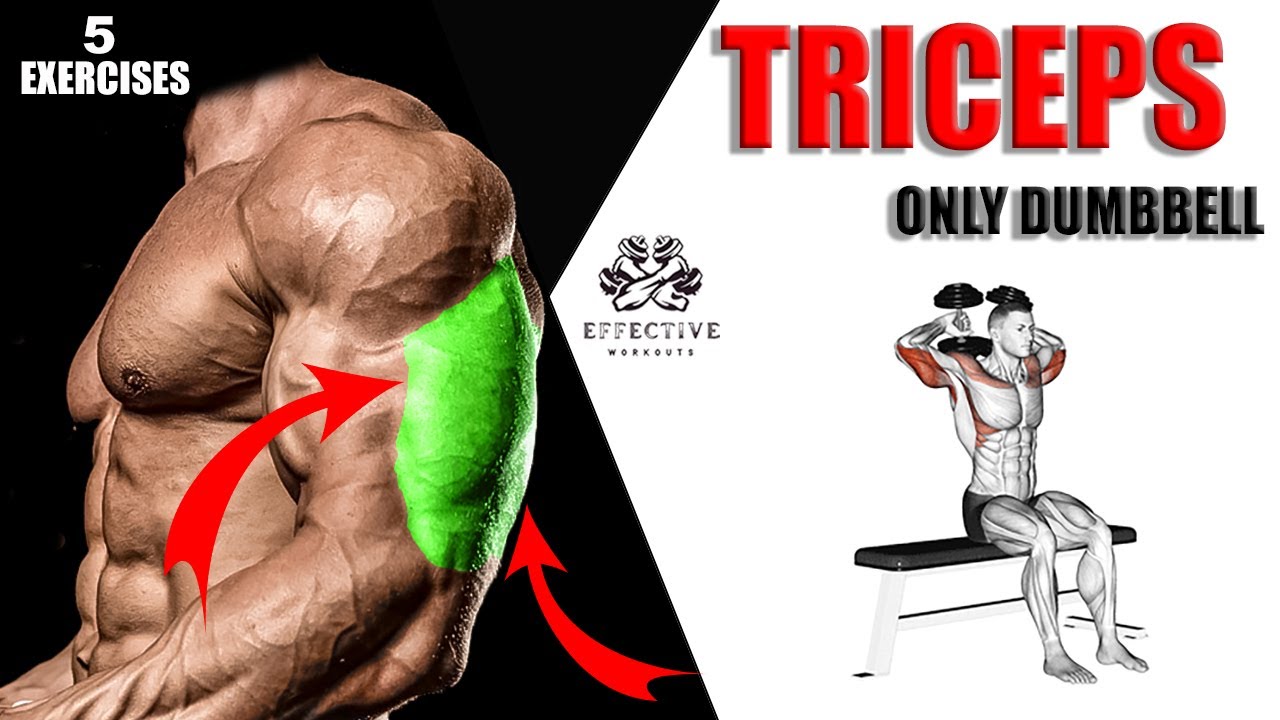 Triceps Exercises For Huge Triceps - ARM WORKOUTS - YouTube