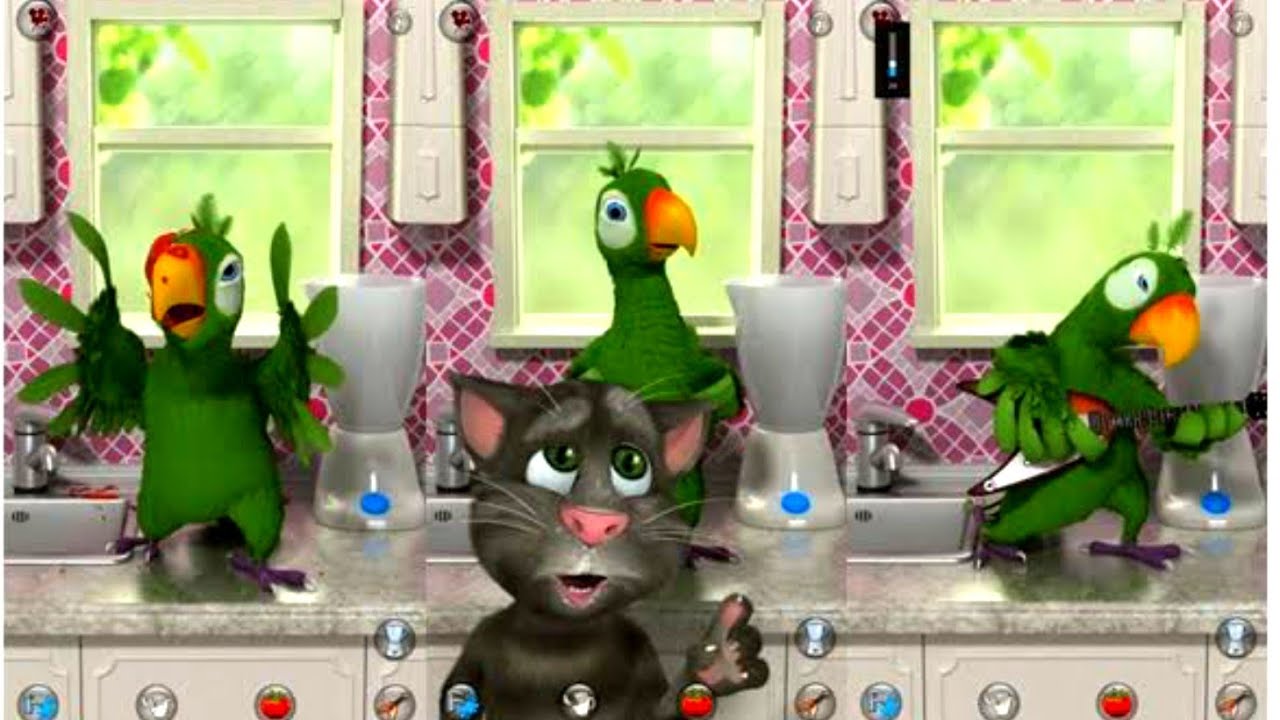 Talking Pierre the Parrot - Talking Tom Funny ( Android & IOS ...