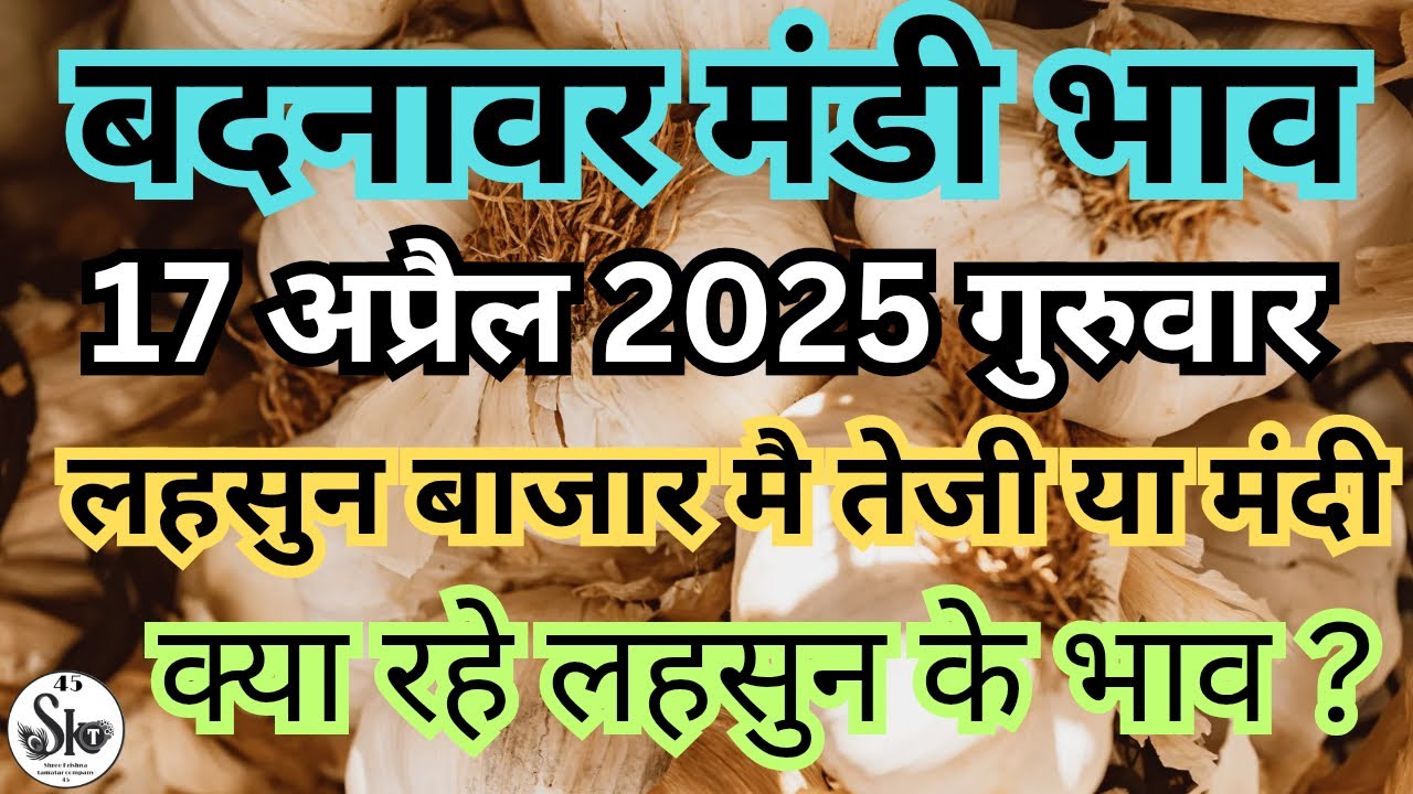17 अप्रैल 2025 बदनावर मंडी भाव | नई लहसुन भाव | Garlic rate badnawar ...
