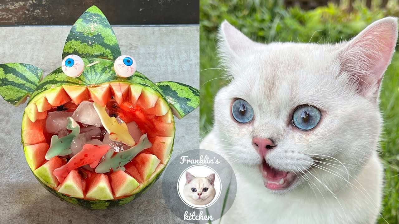 Top creative Halloween Recipes from the Cat Chef 🎃👻 - YouTube