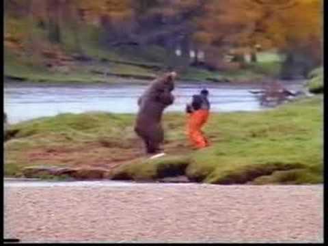 Ours VS Homme - YouTube