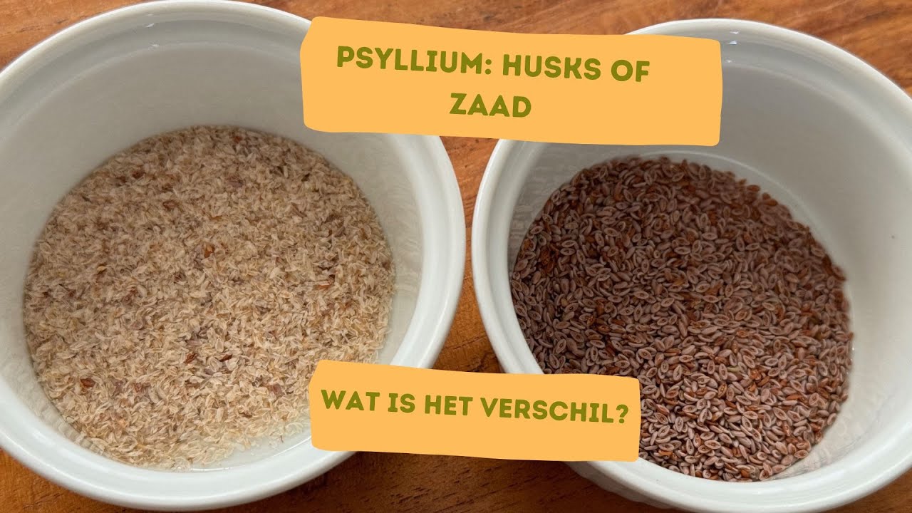 Psyllium husks of zaad: wat is het verschil? - YouTube