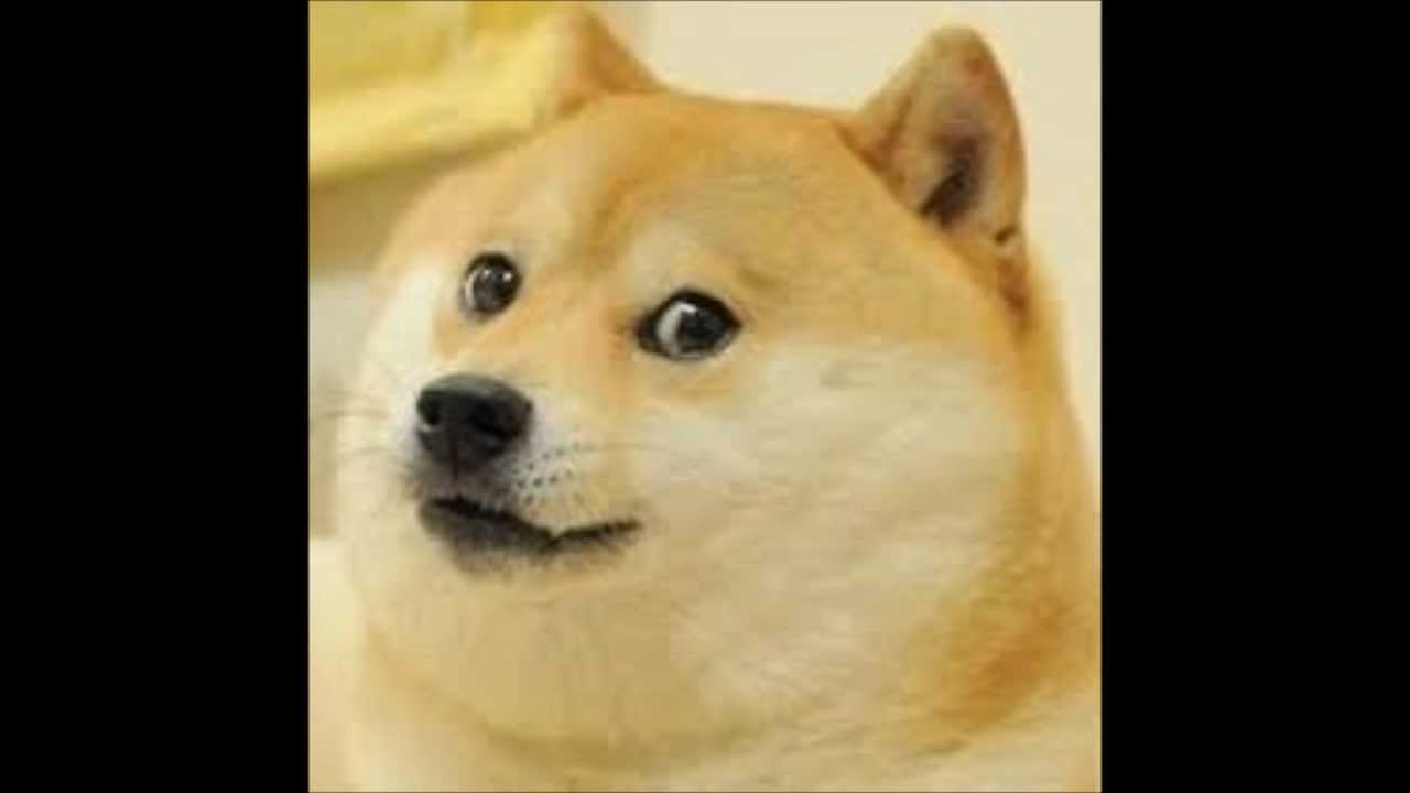 The Doge is Real - YouTube