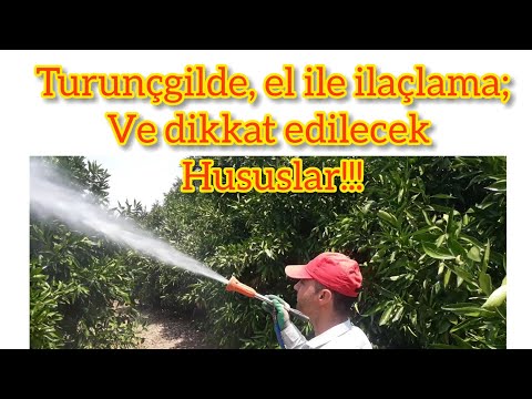 Turunçgilde mayıs -haziran dönemi kaplama ilaç uygulanışı ile ilgili kısa bilgiler;