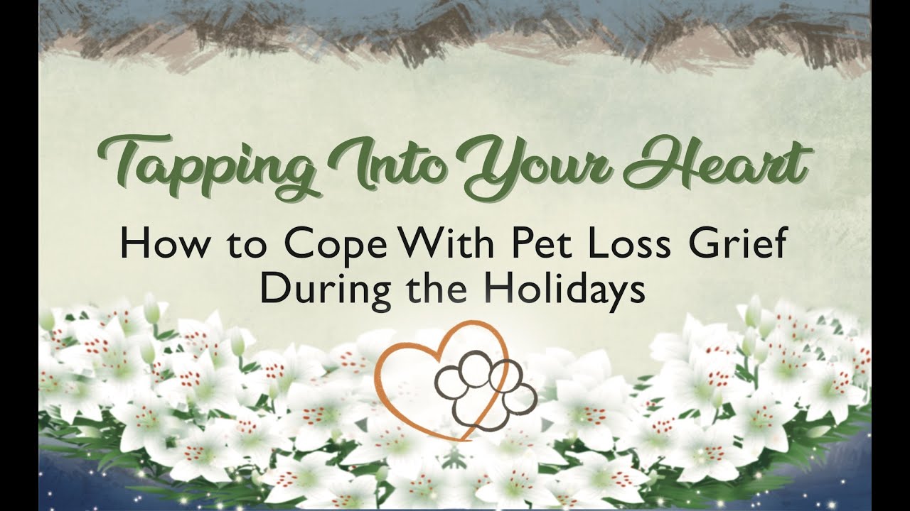 The Spiritual Side of Connecting with Animals with Sarah-Jane Farrell 🐾 ...