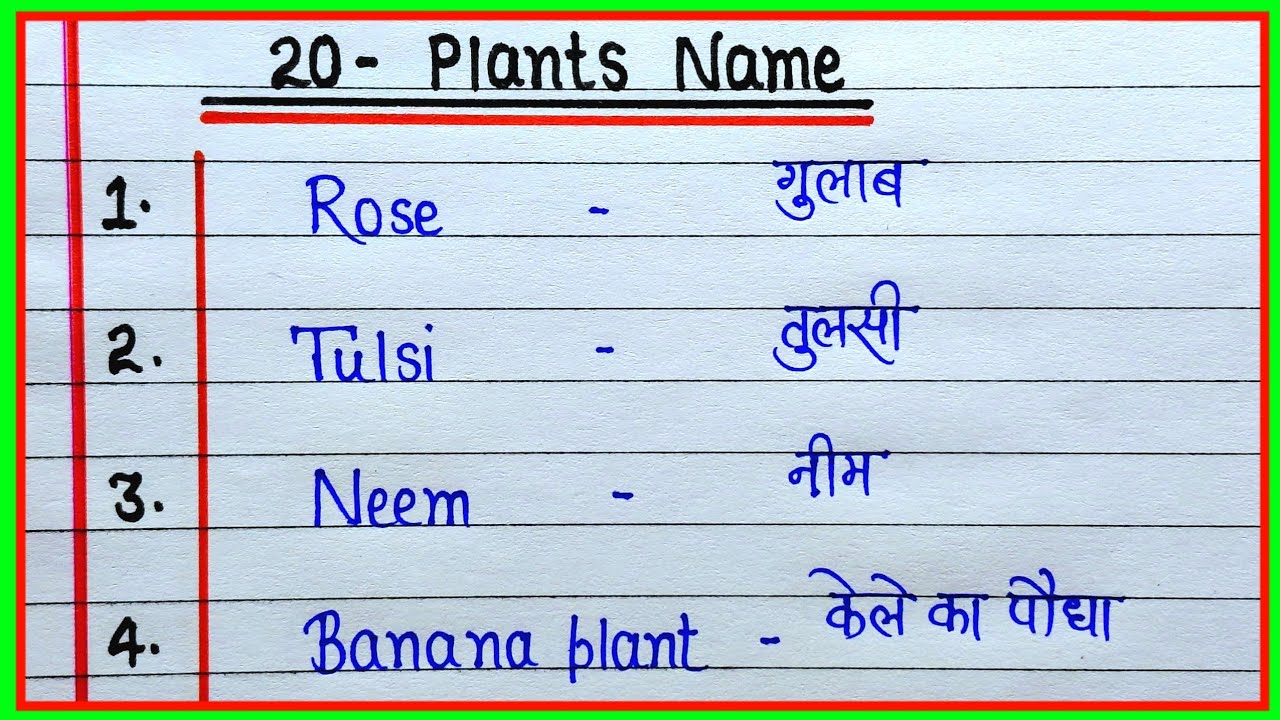 20 Plants Name in English and Hindi || 20 paudhon ke naam || 20 Plants ...
