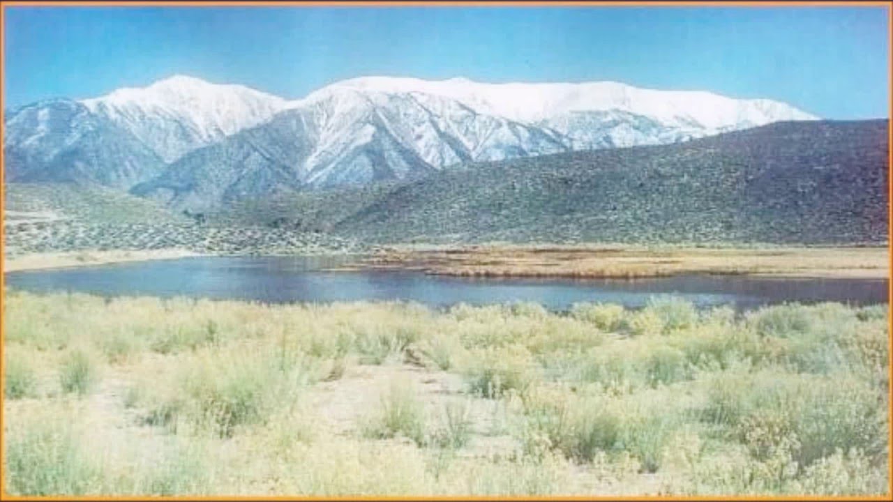 Flora del neógeno :) - YouTube