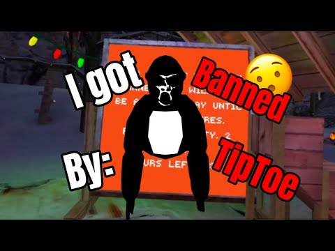 I got BANNED in Gorilla Tag by TIP-TOE(😦!!SCARY!!😦) - YouTube