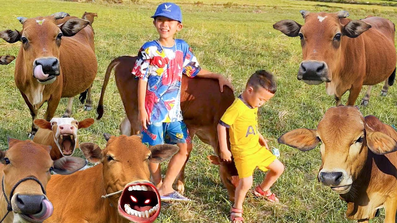 con bò - tổng hợp nhạc con bò remix - nhạc con bò - bài hát con bò ...