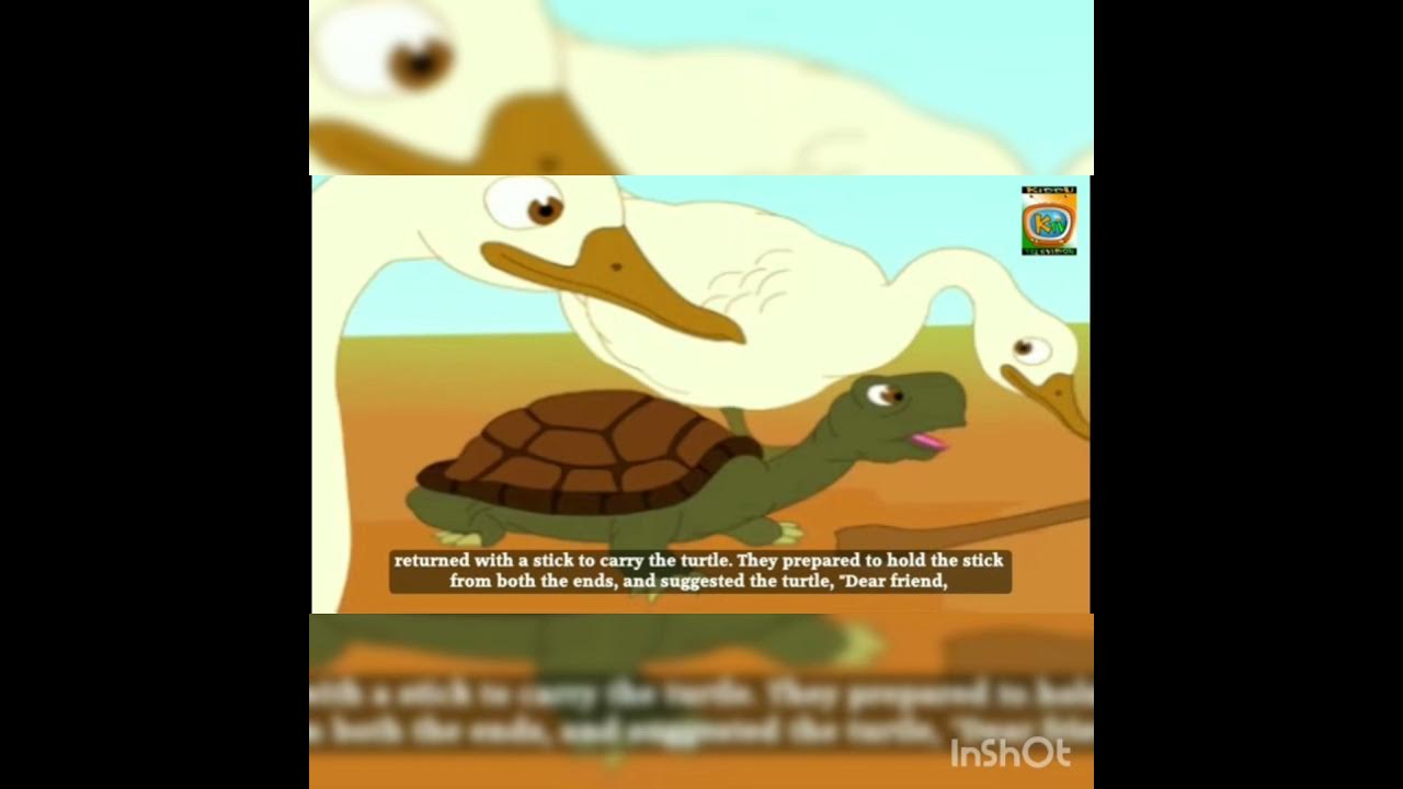 The Turtle who couldn't stop talking - YouTube