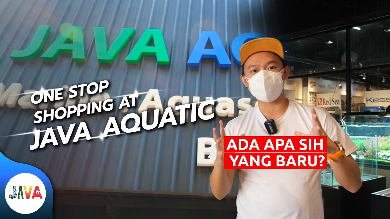 ONE STOP SHOPPING AT JAVA AQUATIC | ADA APA AJA SIH YANG BARU ?? - YouTube