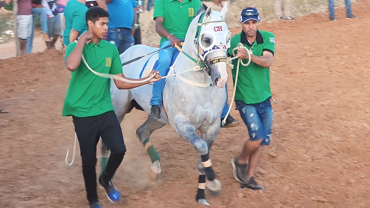 HEY BRUMMEL vence a I PENCA DA CENOURA - Corrida de cavalos - YouTube