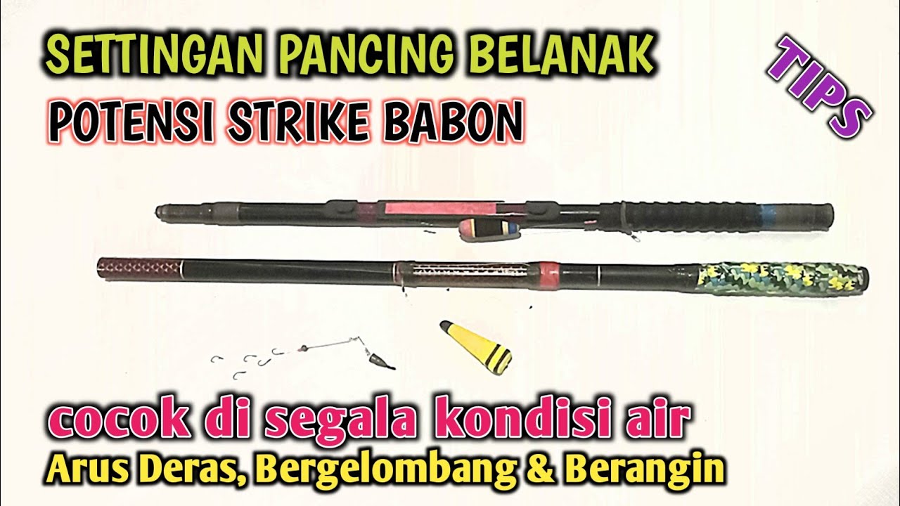 TIPS Settingan Pancing Belanak di Arus Deras, Bergelombang & Berangin ...