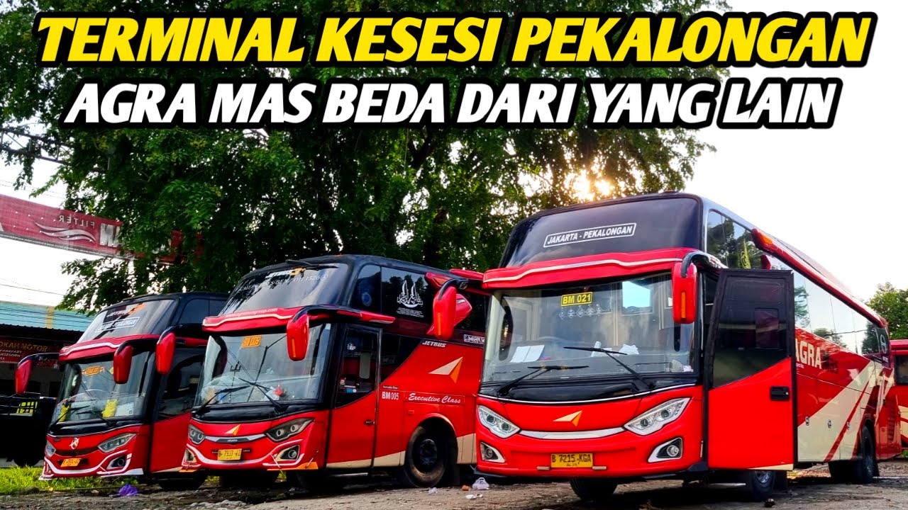 JAMNYA AGRA MAS PALING BEDA DARI YANG LAIN || TERMINAL KESESI ...