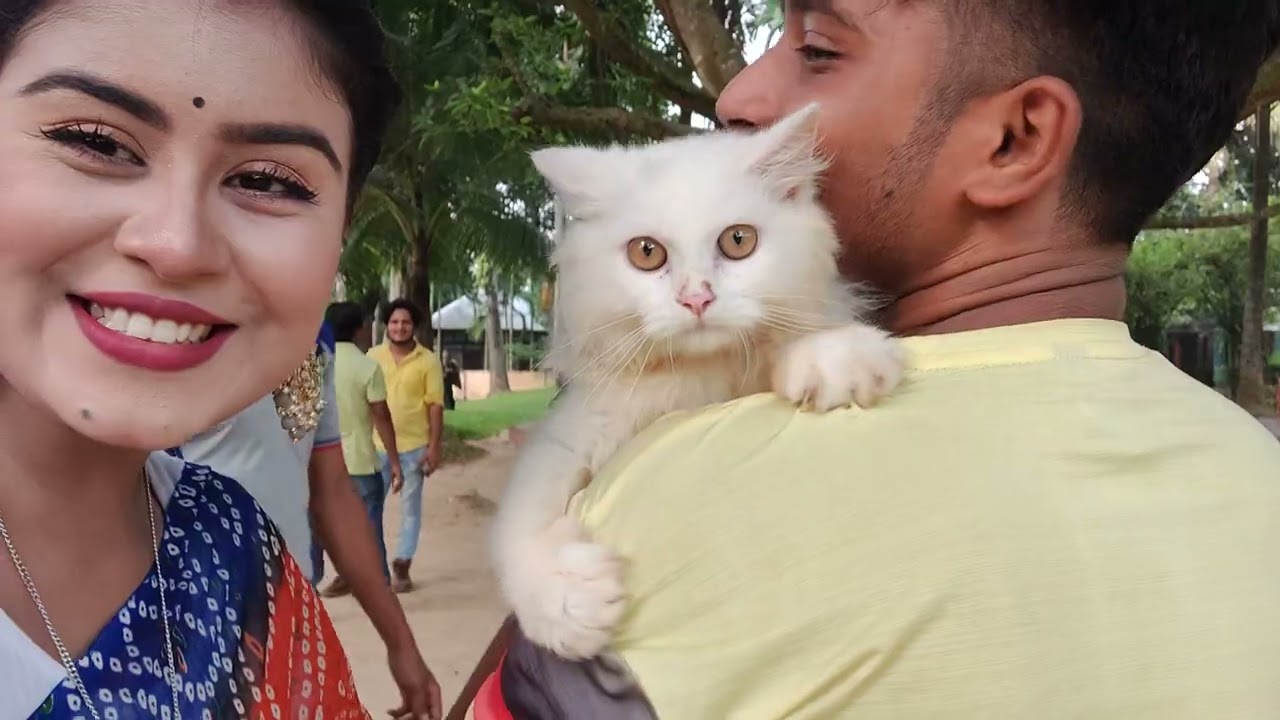 অথৈ তার নিউ বিড়াল নিয়ে বিয়ের কথা বলল। ohi Islam othoi। othoi new ...