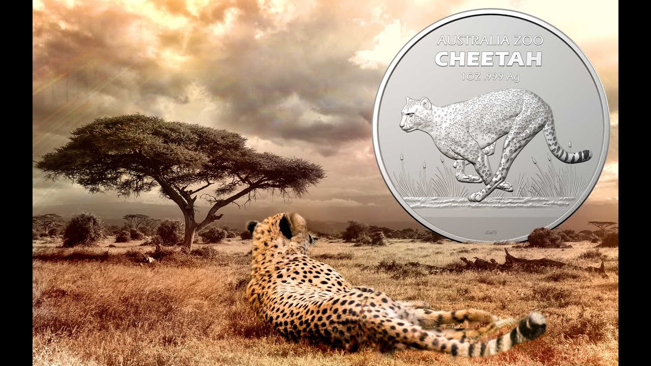 2021 Australia Zoo Cheetah 1oz Silver Coin Review - YouTube