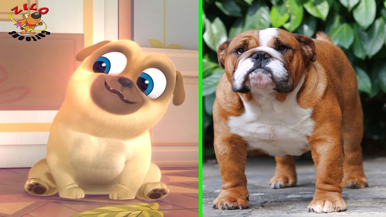 Puppy Dog Pals and friends In Real Life 2020 Zilo Cartoons - YouTube
