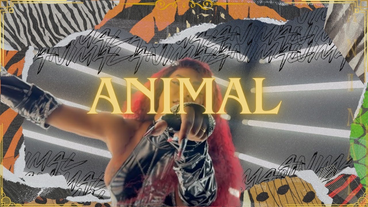 LIA MERSI - ANIMAL (VISUALIZER OFICIAL) - YouTube
