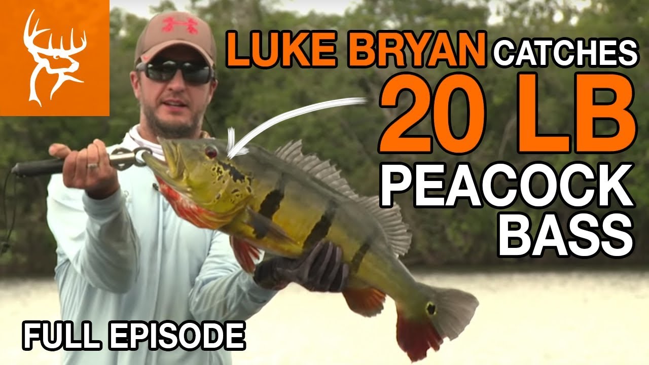 LUKE BRYAN CATCHES 20 LB PEACOCK BASS | Buck Commander | Full Episode ...