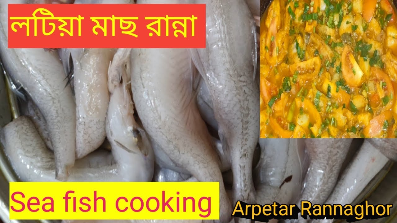 সামুদ্রিক লটিয়া মাছ রান্না// Sea fish//Lotiya fish cooking //বাঙালি ...