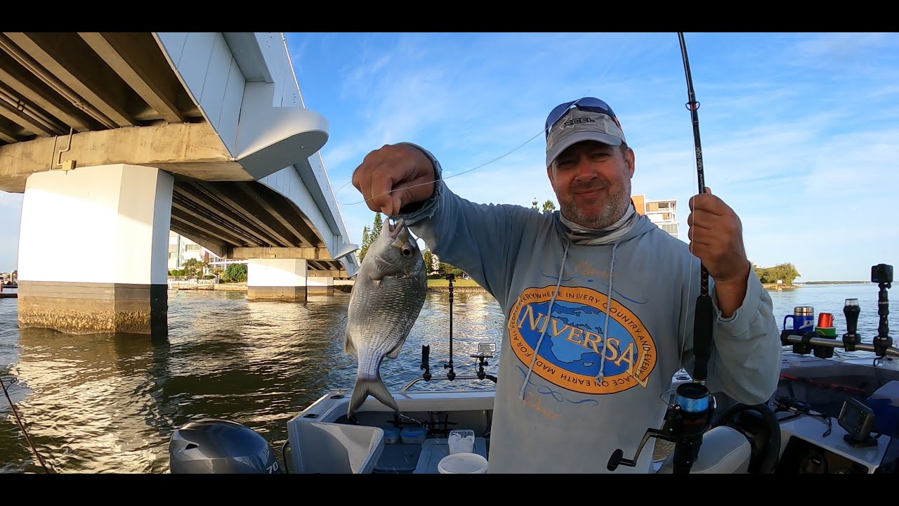27hr Marathon fishing session in the Gold Coast Broadwater & Jumpinpin ...