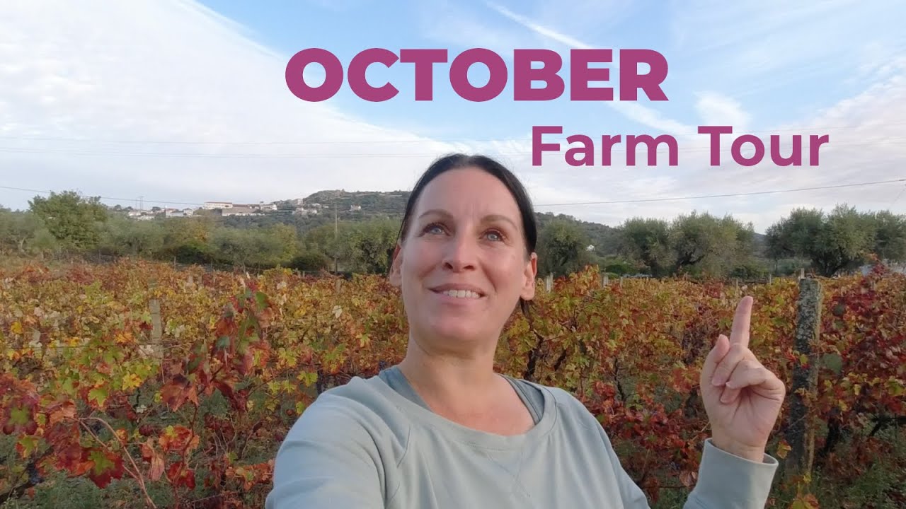 OCTOBER - Farm Tour | My Central Portugal Farm #47 - YouTube