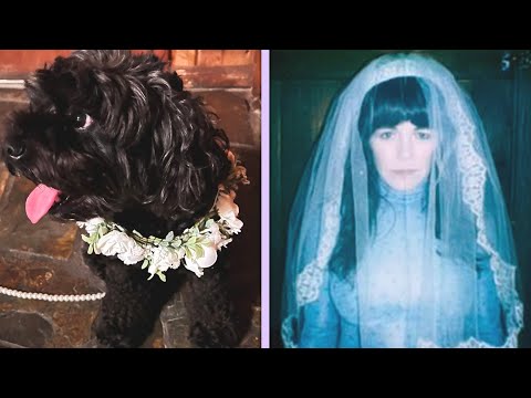 Jenny Lewis MARRIES Her DOG!