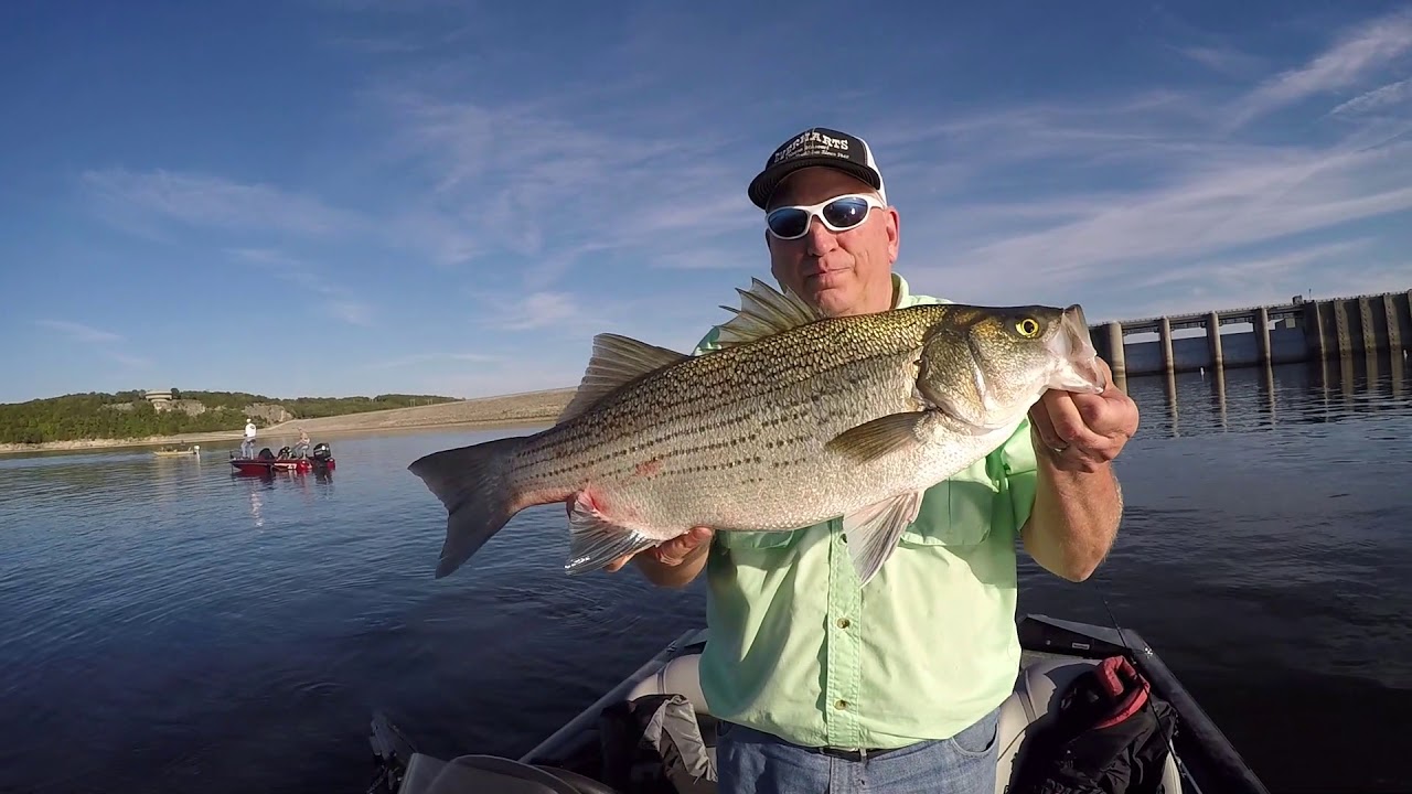 Truman Hybrid Fishing - YouTube