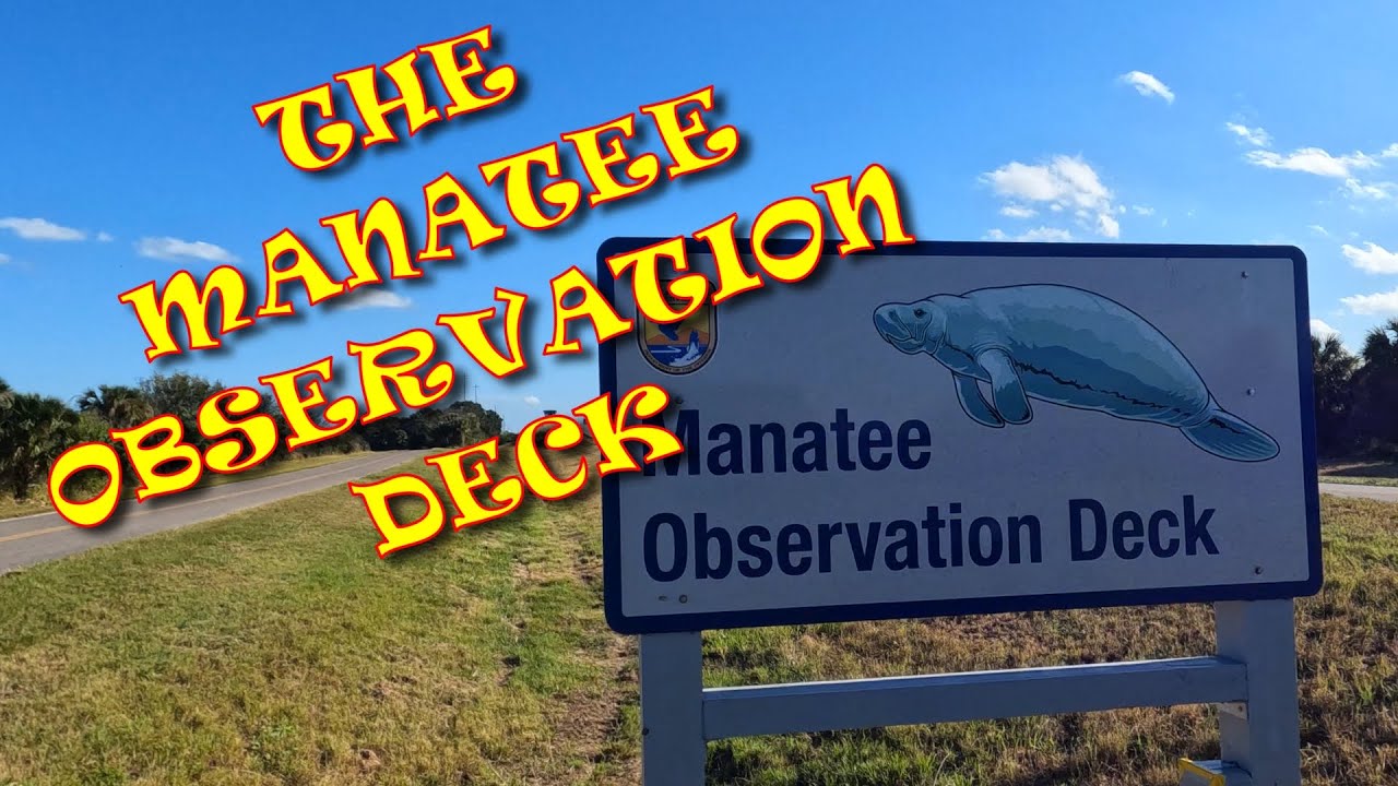 Manatee Observation Deck Merritt Island Florida's Treasure: Where To