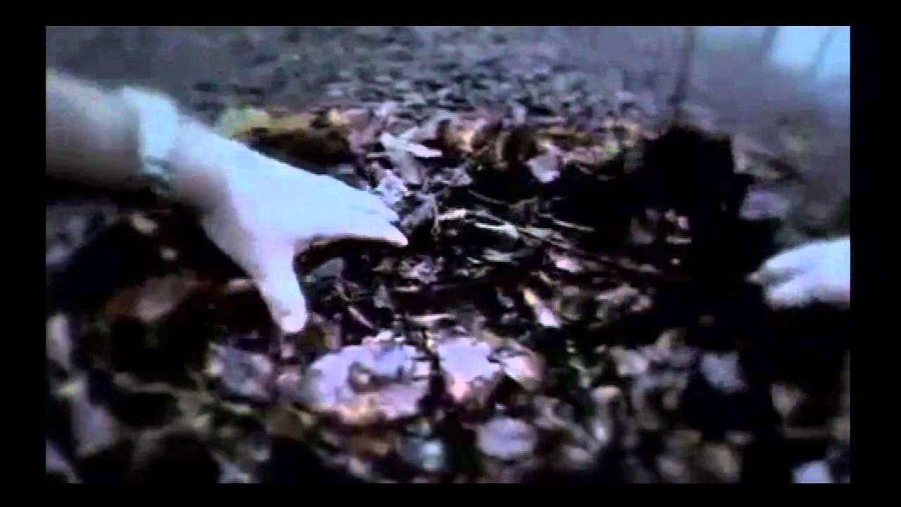 Hysteria Project (iOS/PS3/PSP/PS Vita) Review - YouTube