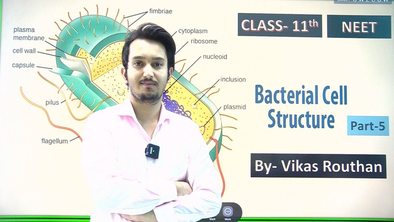 BACTERIAL CELL STRUCTURE -V CLASS--11 | Biology | NEET | Rasayanam ...