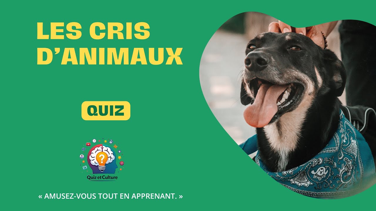 Jeu éducatif: Connais-tu les cris des animaux? | #culturegenerale #quiz ...