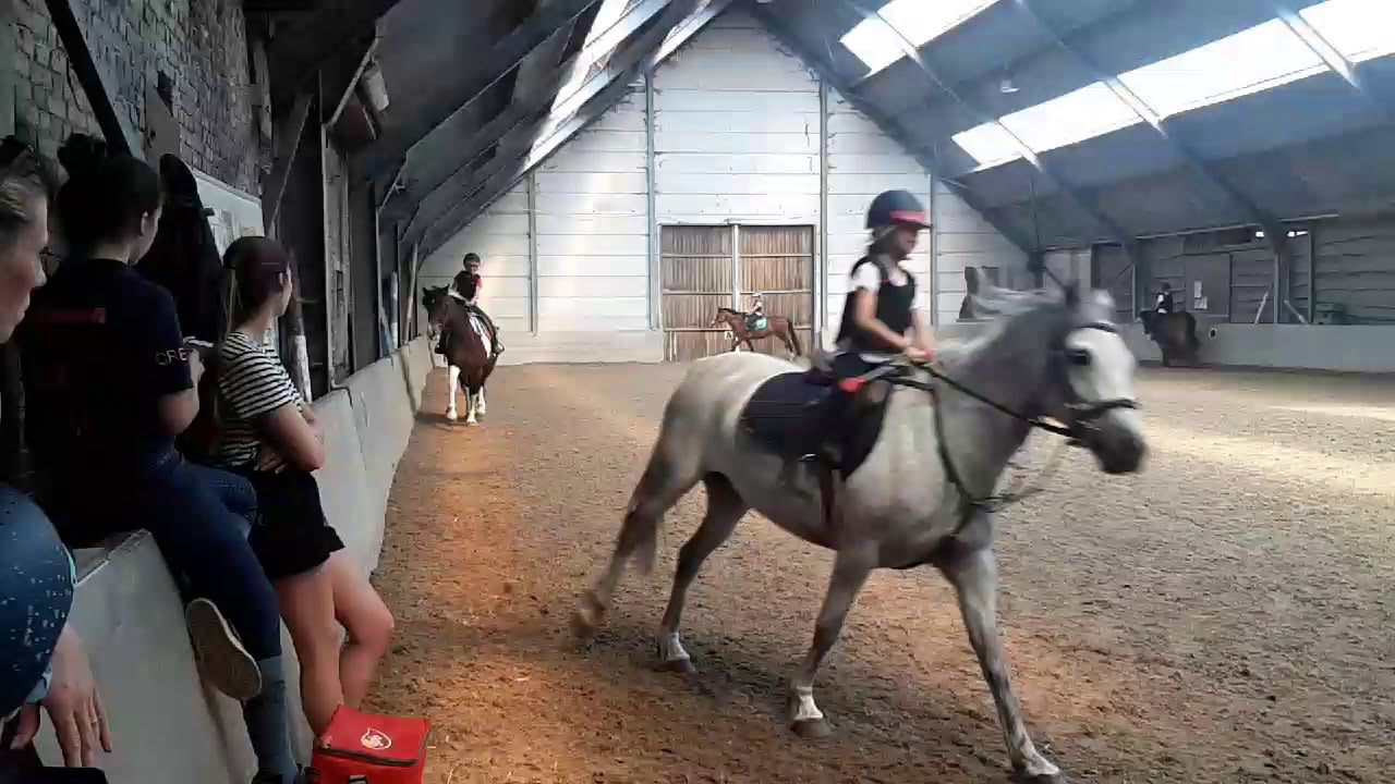 Ik die van mijn paard val😅😅 - YouTube