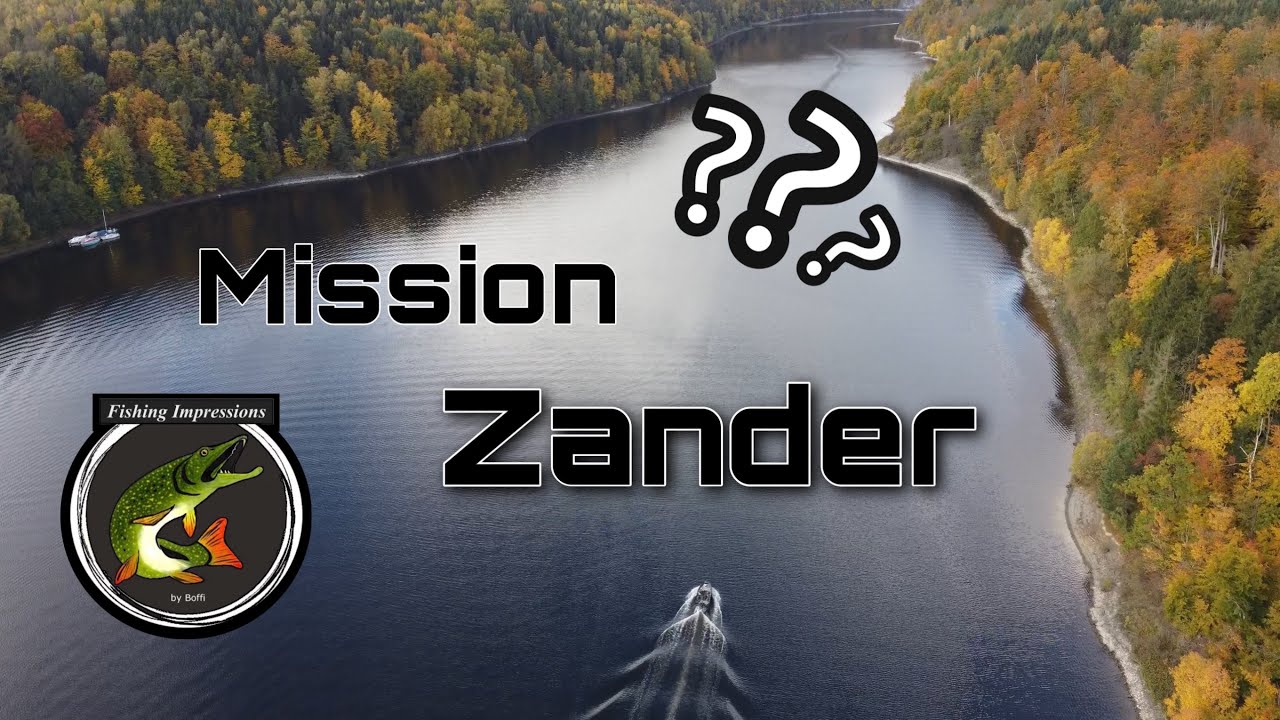 Mission Zander - YouTube