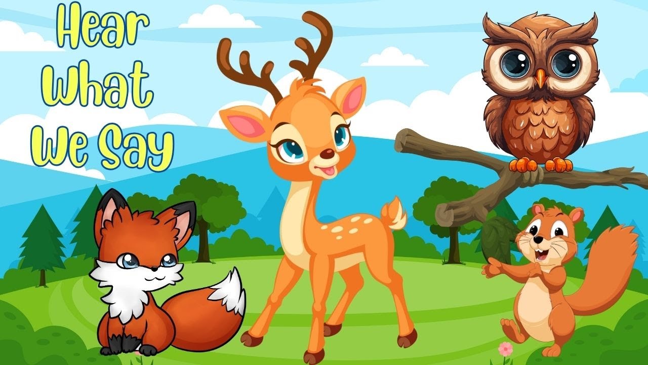Meet 4 Amazing Forest Animals! (Fun Facts & Sounds) - YouTube