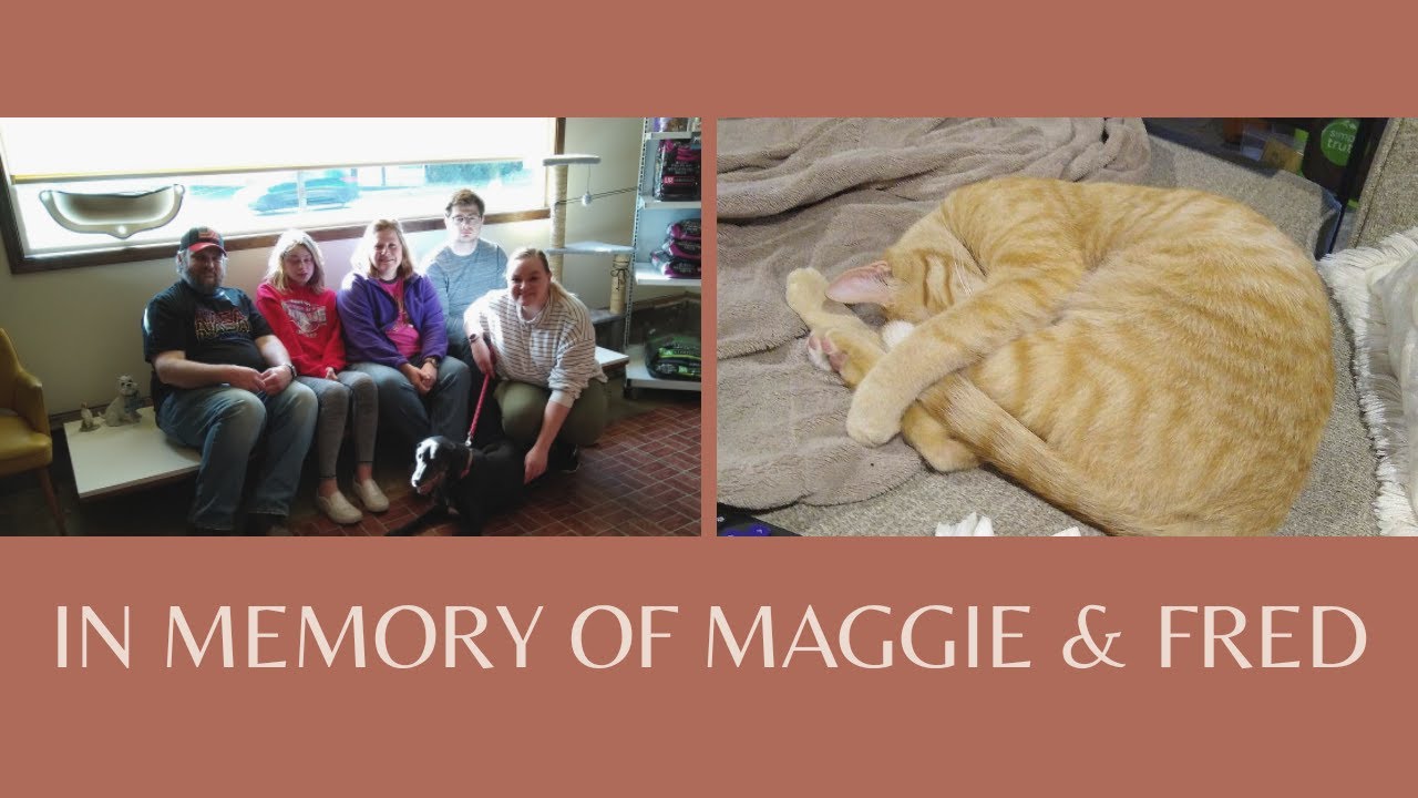 In memory of Maggie & Fred - YouTube