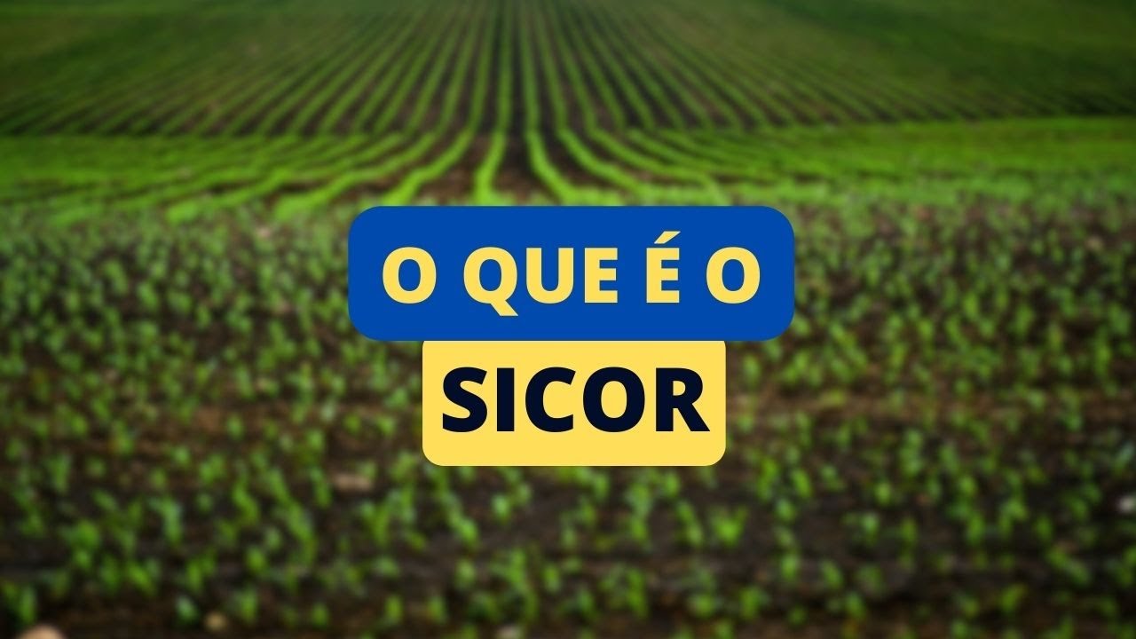 O QUE É O SICOR *COMO FUNCIONA O SICOR* - YouTube
