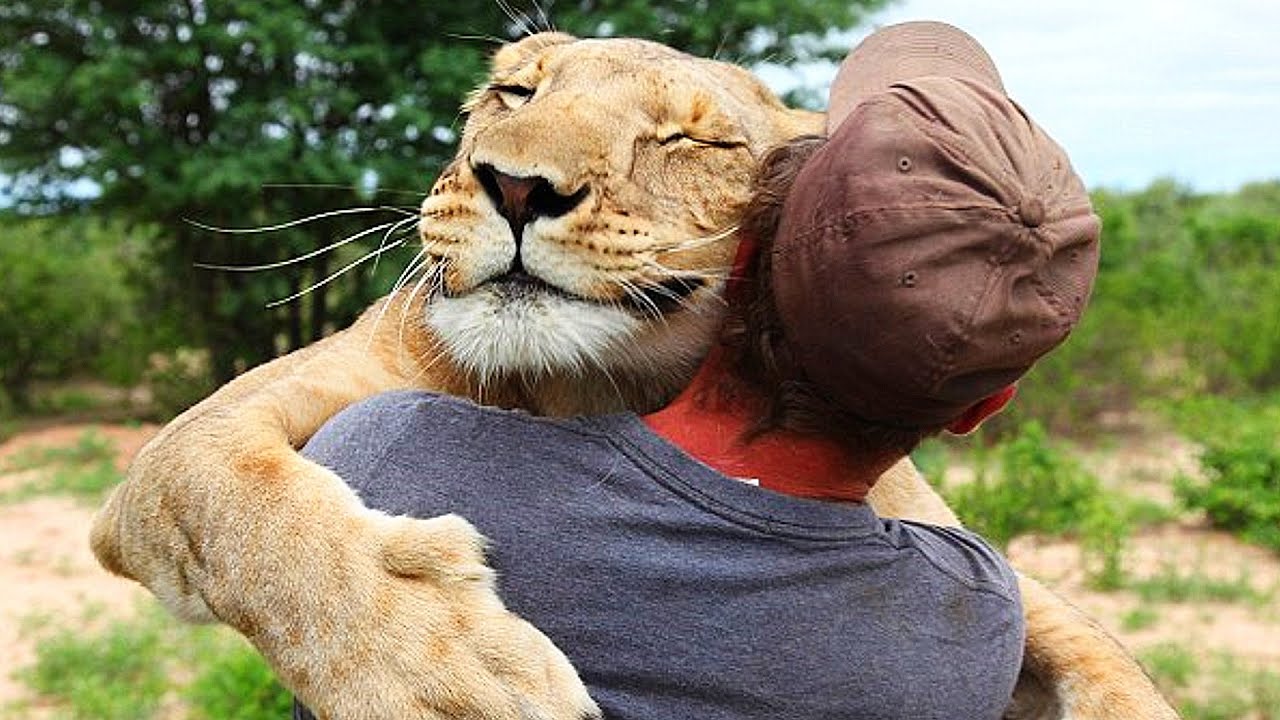 People Who Like Animals More Than People - YouTube