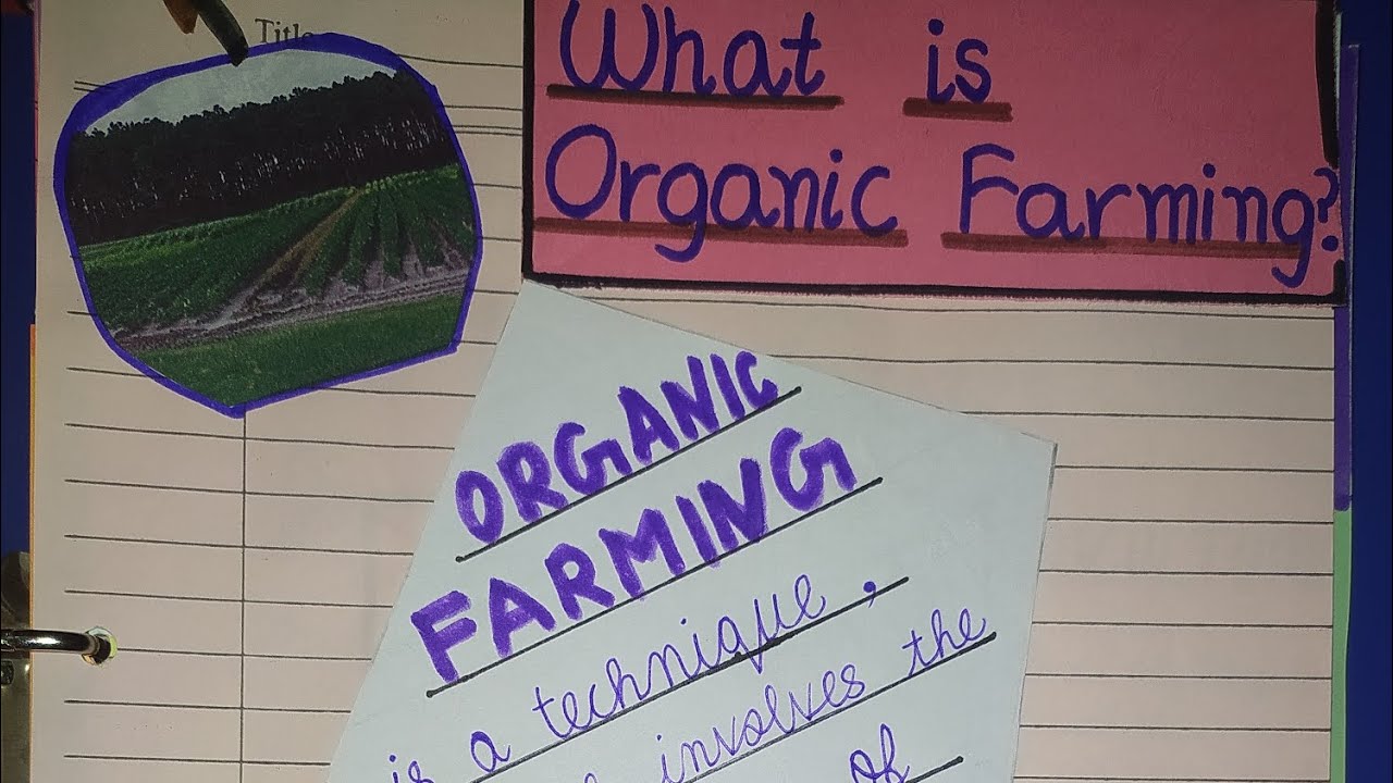 Organic Farming 👨‍🌾🚜| Class 11 and 12| Biology Project 👨‍🔬| Economics ...
