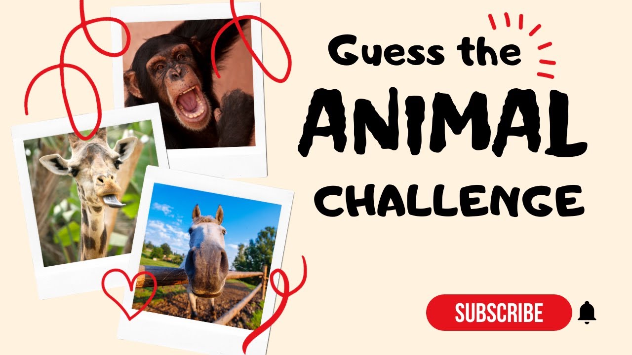 🔍 Identify the Animal Challenge: Test Your Wildlife Knowledge! 🦁🐾 - YouTube