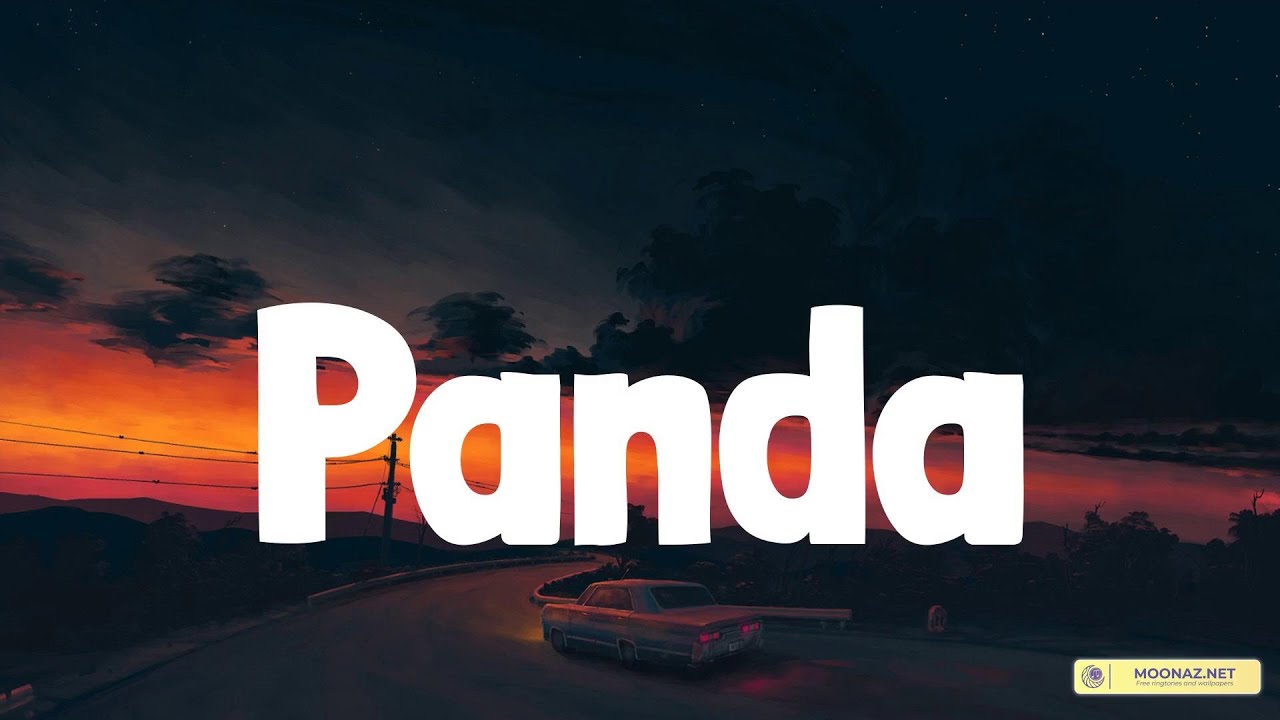 Playlist | Desiigner - Panda (Lyrics) - YouTube